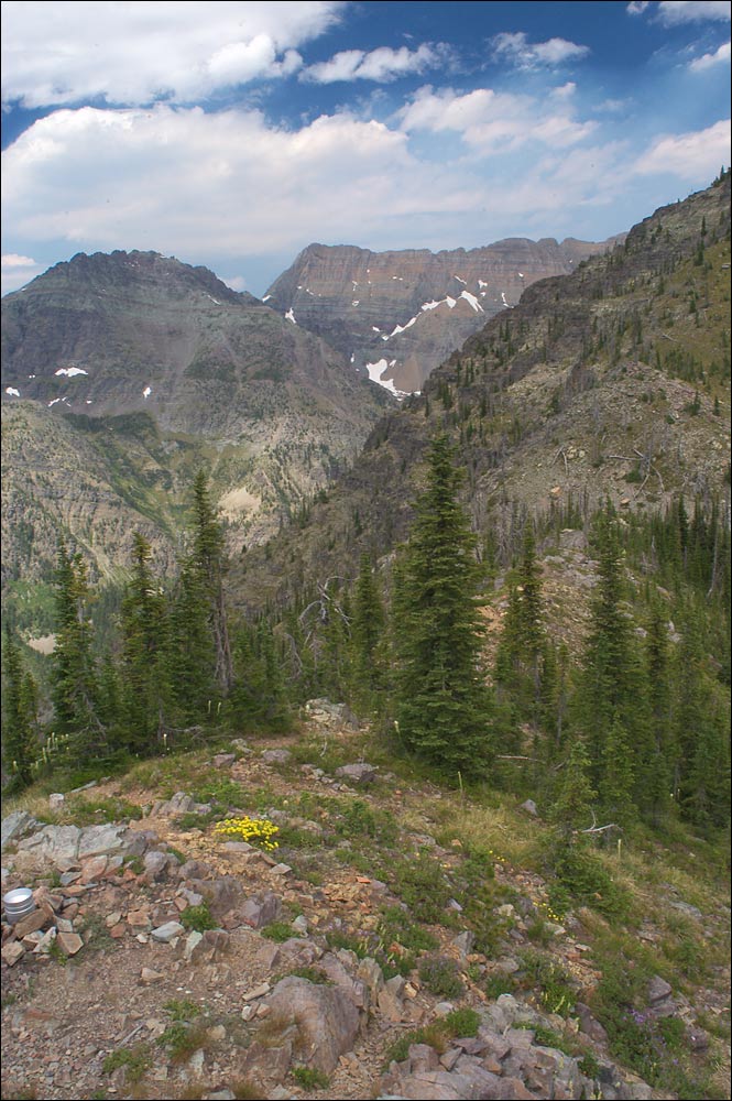 Reuter's Peak from Numa Lookout Glacier Park Summer Landscape ...